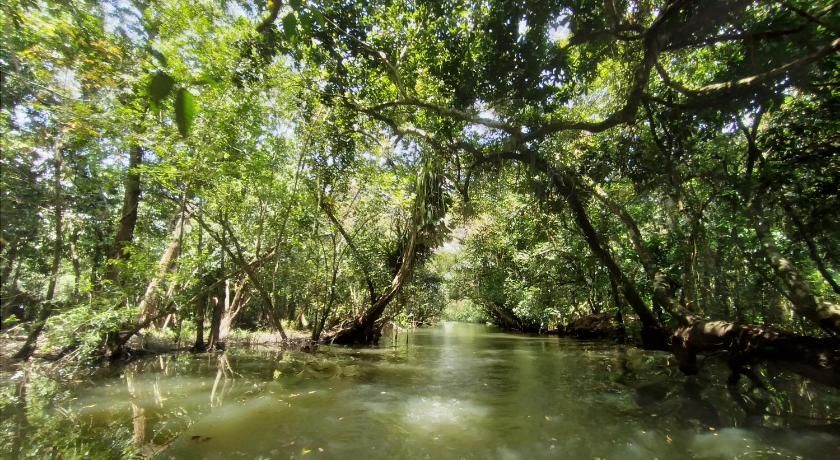 Tortugal Boutique River Lodge | Venue Report