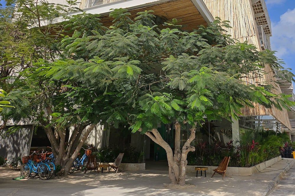 Siente Tulum | Tulum, Quintana Roo, Mexico - Venue Report