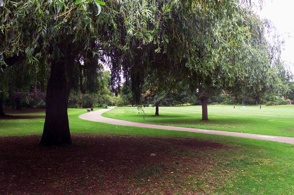 Bay Tree House Bed & Breakfast | Arnos Grove, London, England, United ...