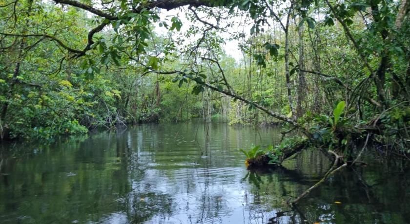 Tortugal Boutique River Lodge | Venue Report