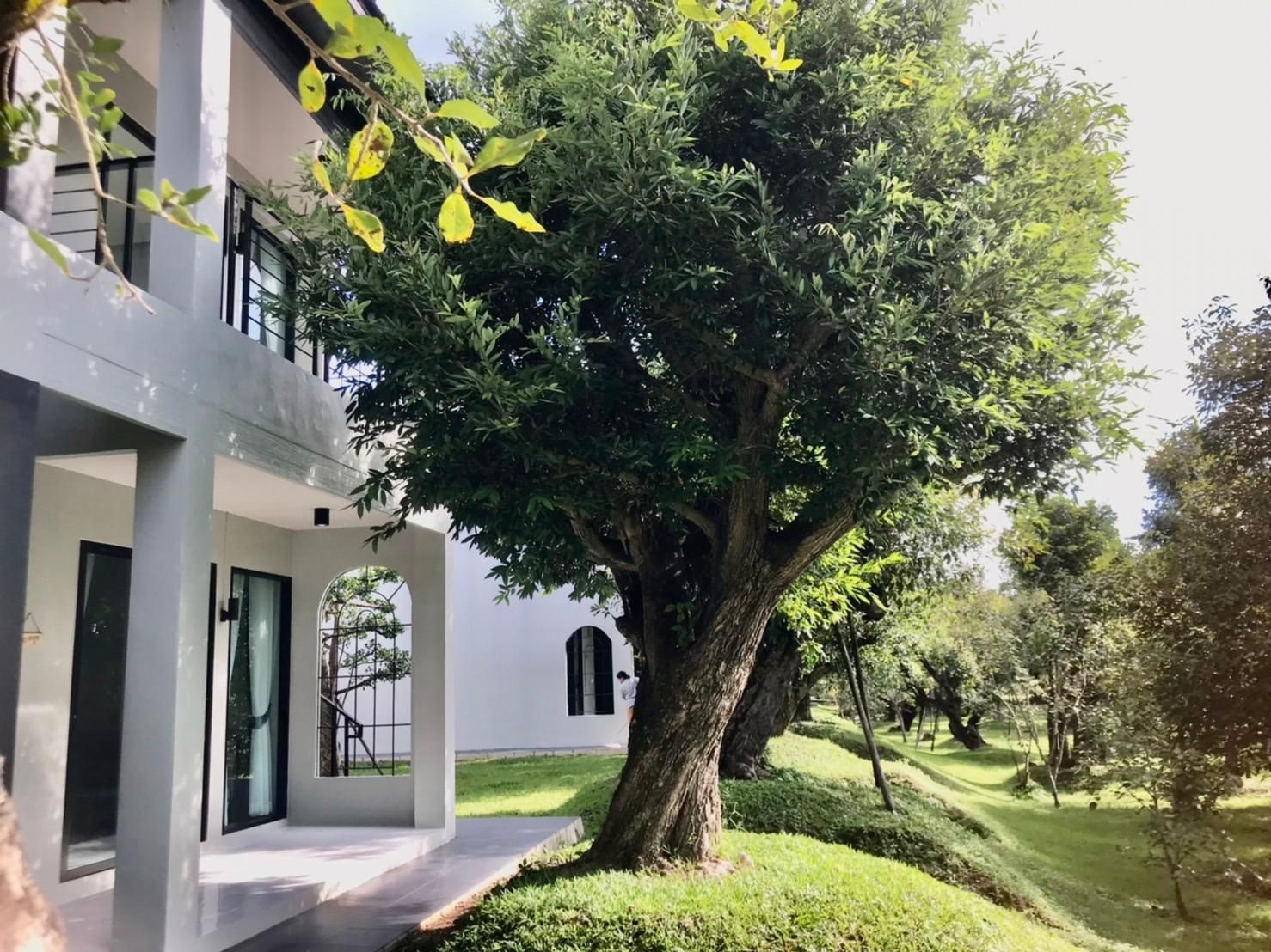 Wisdom Field Resort & Spa | Thailand | Venue Report