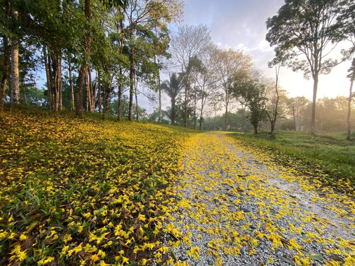 Tortugal Boutique River Lodge | Venue Report