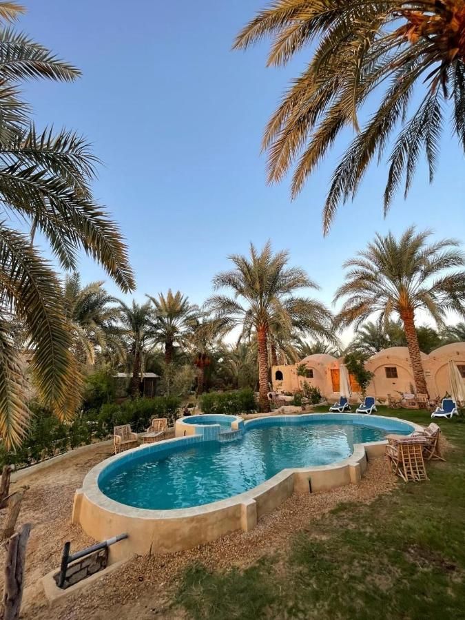 Siwa Palace Lodge | Venue Report