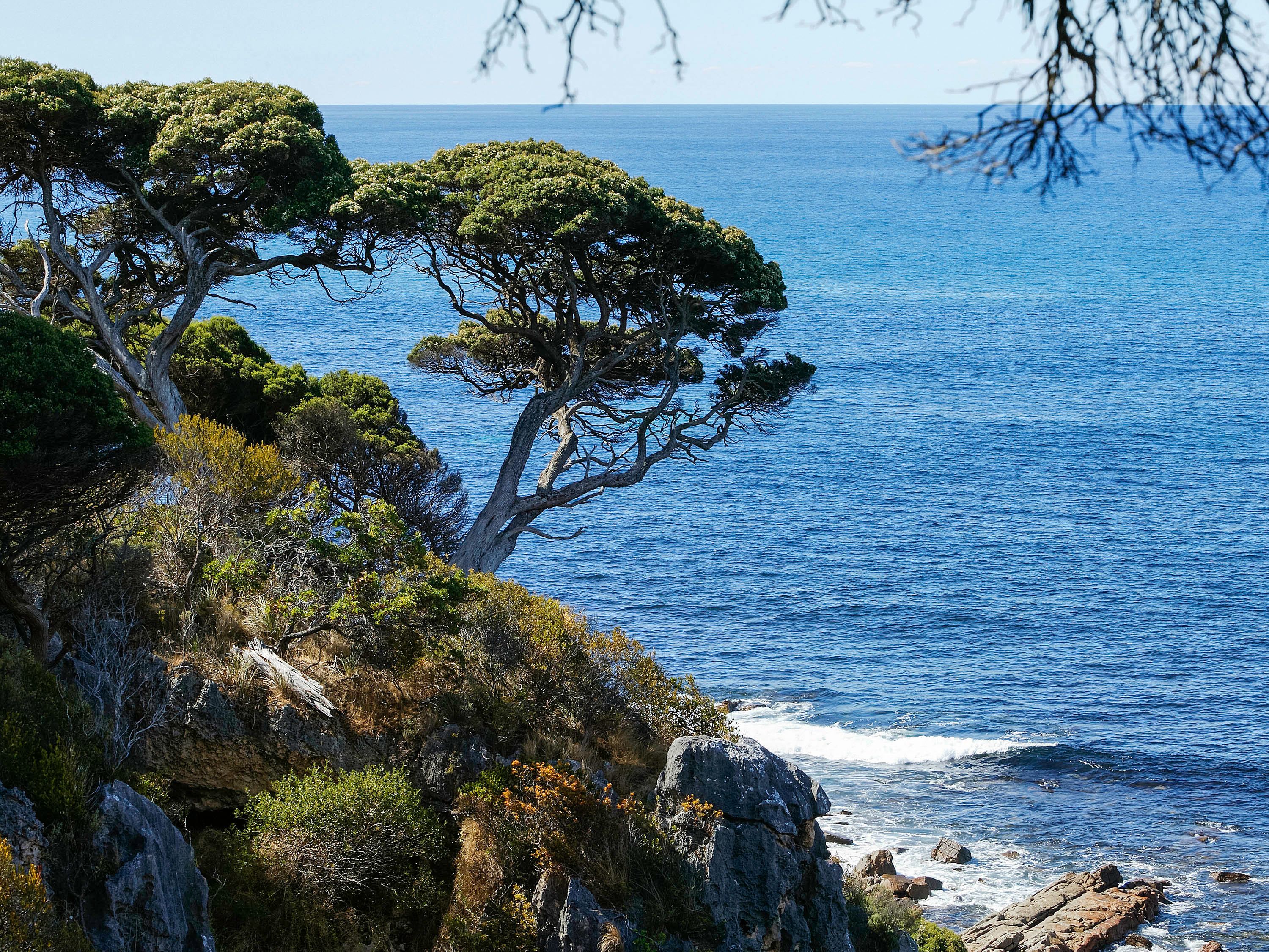 Pullman Bunker Bay Resort Margaret River, Naturaliste - Compare Deals