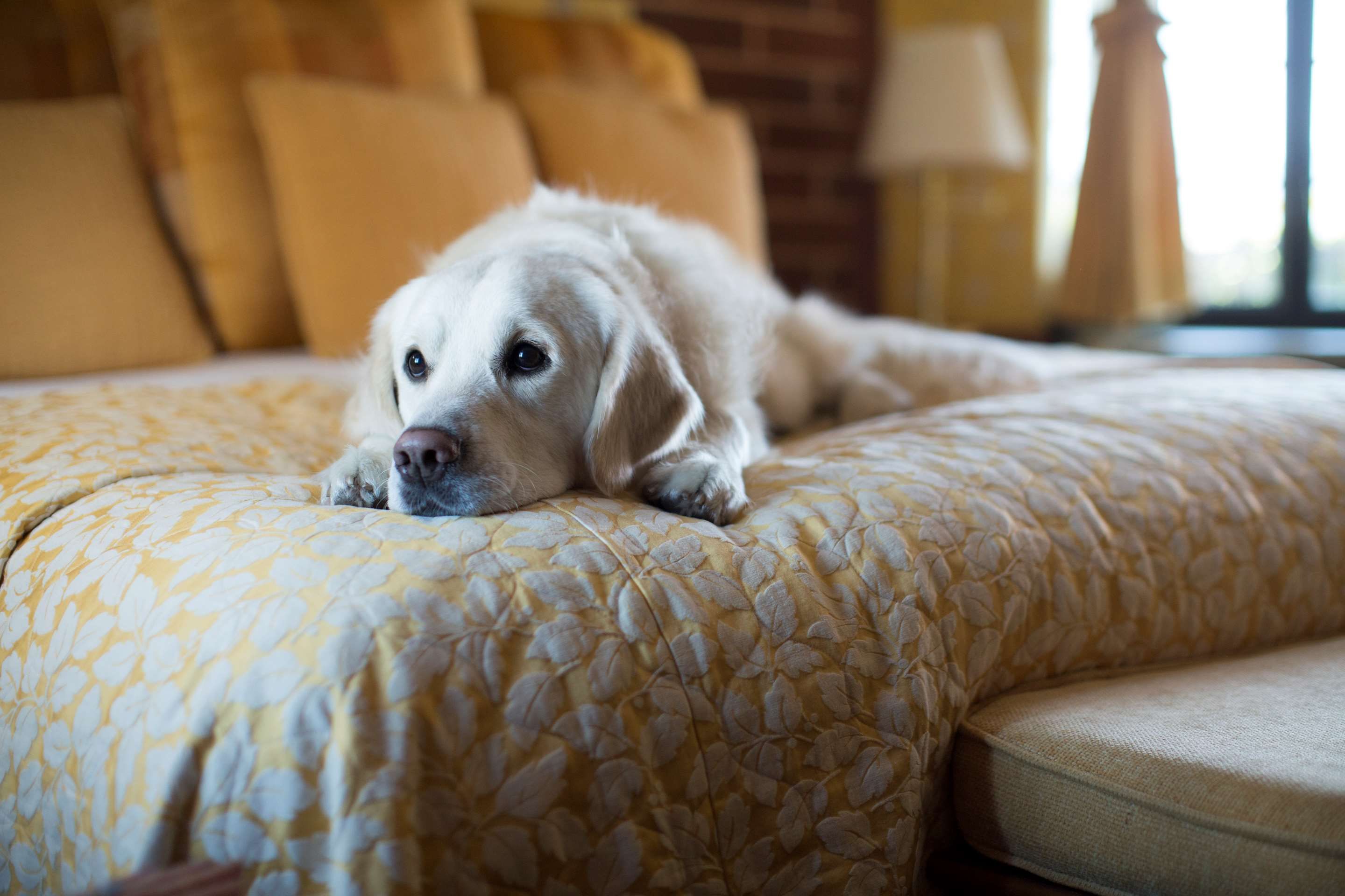 Napa River Inn | Napa, California, United States - Venue Report