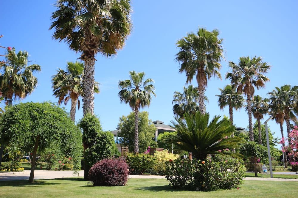 Tui Magic Life Jacaranda | Turkey - Venue Report