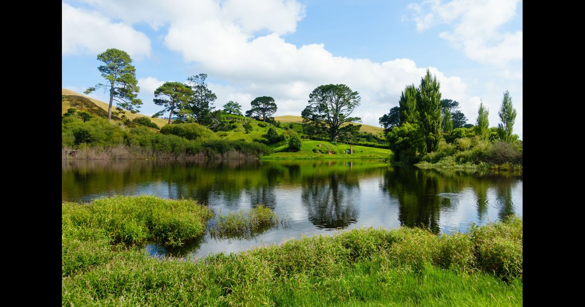 Matamata Hotels: 42 Cheap Matamata Hotel Deals, New Zealand