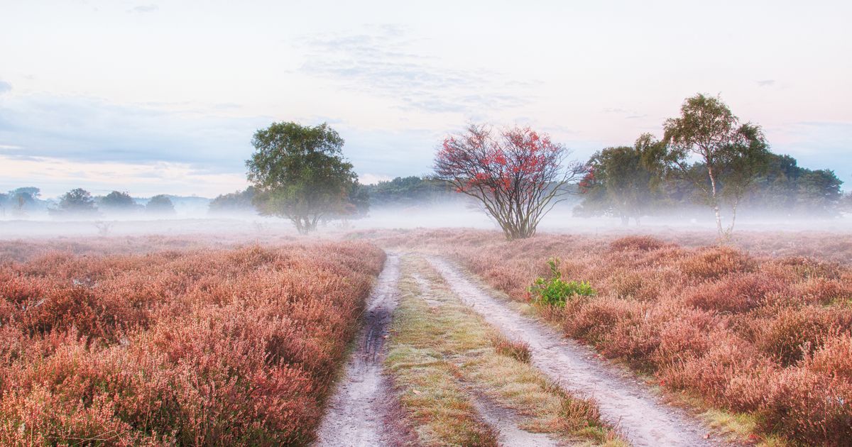 16 Best Hotels in Laren, North Holland - KAYAK