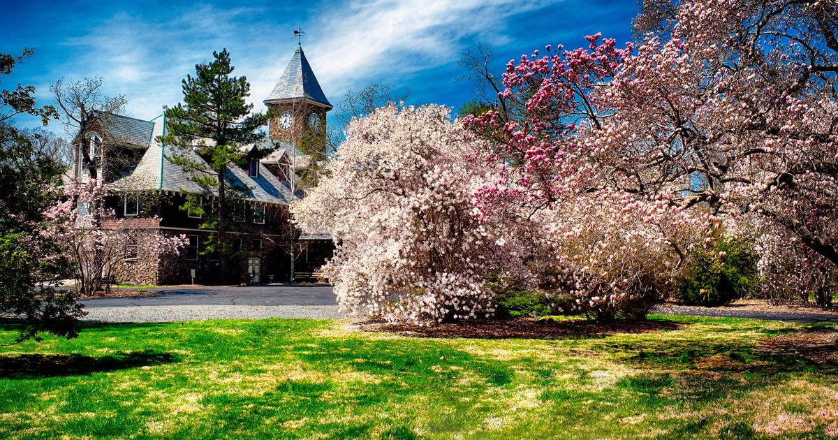 16 Best Hotels in Somerset. Hotel Deals from £76/night - KAYAK