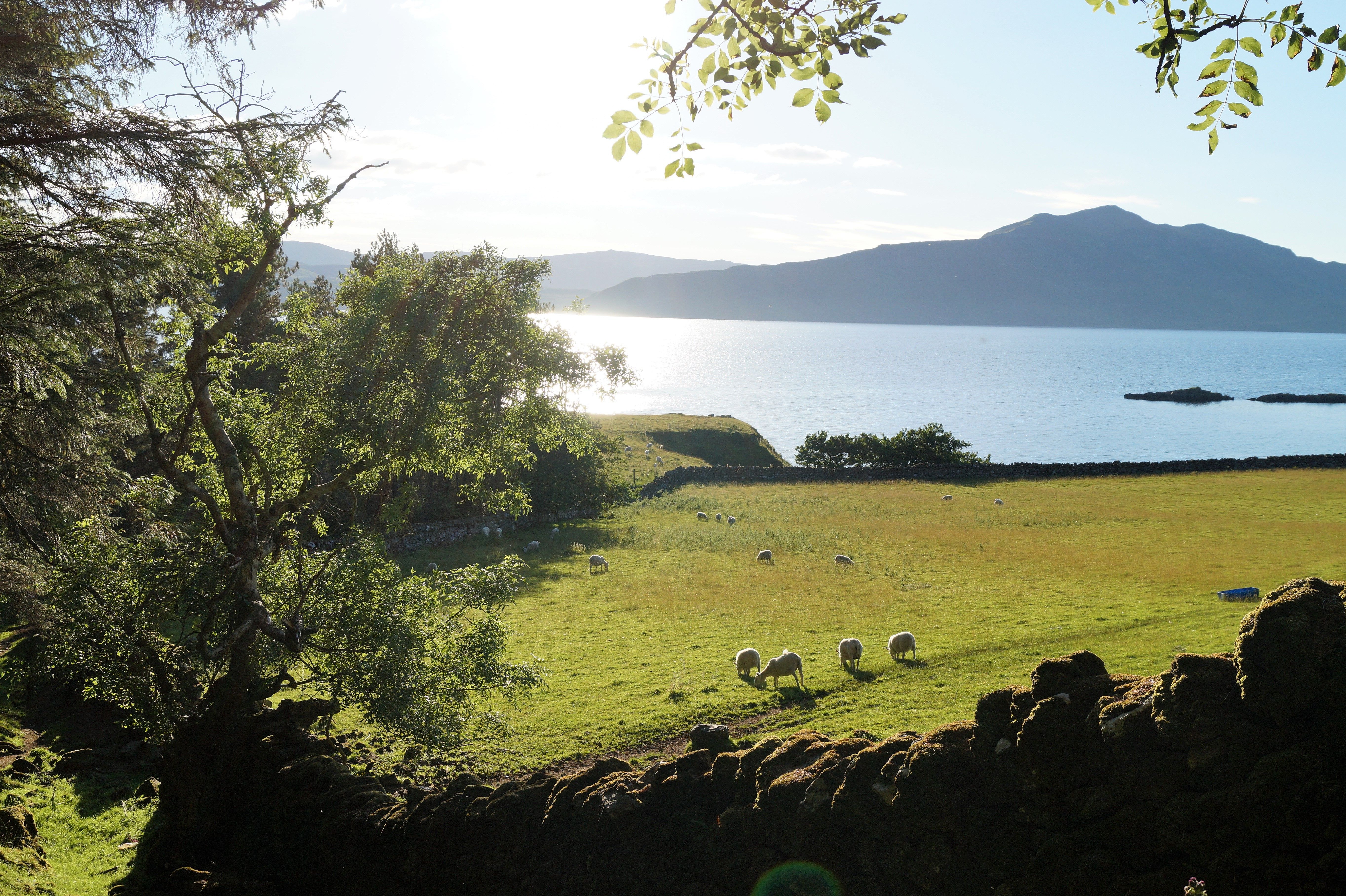 16 Best Hotels in Isle of Raasay. Hotel Deals from £397/night - KAYAK