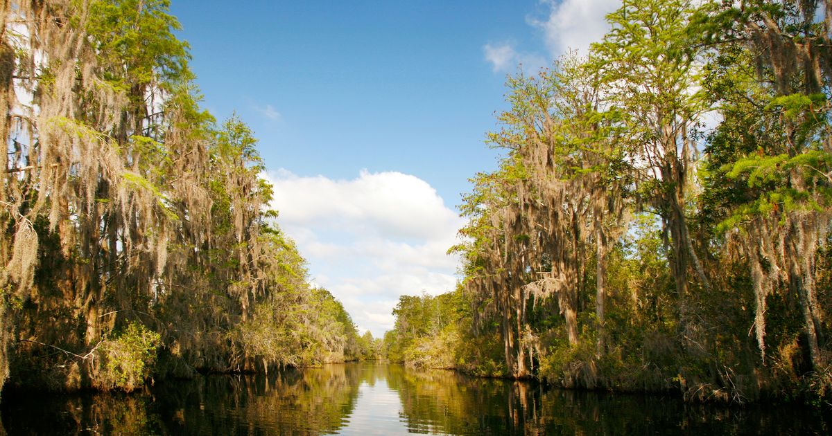 16 Best Hotels in Suwanee - KAYAK