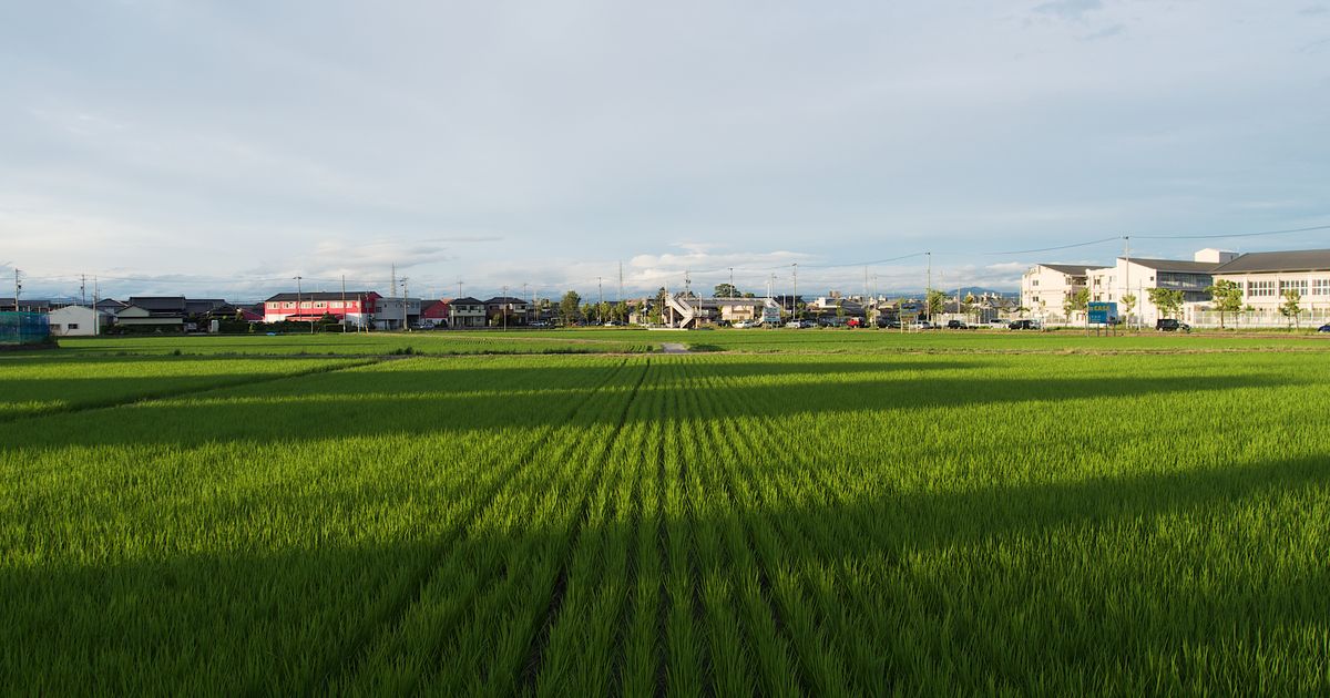 16 Best Hotels in Anjō. Hotels from $41/night - KAYAK