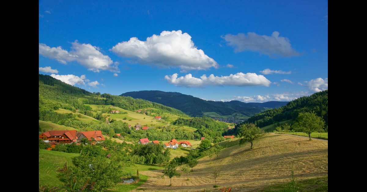 Seebach Hotels: 30 Cheap Seebach Hotel Deals, Germany