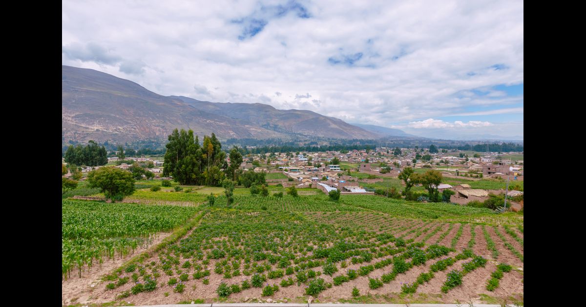 Jauja (JAU) - Status do voo, mapas e muito mais - KAYAK