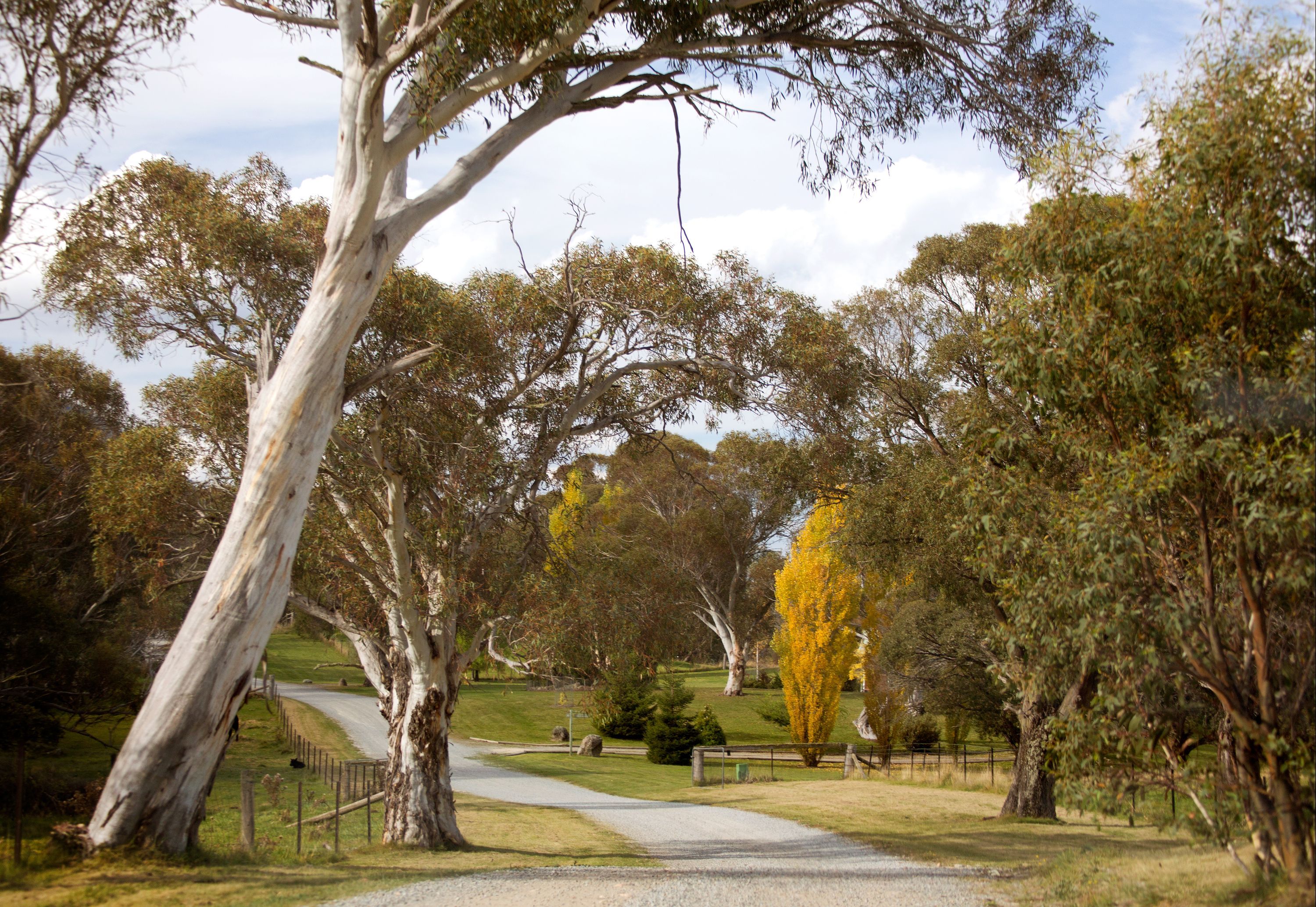 Crackenback Travel Guide | Crackenback Tourism - KAYAK