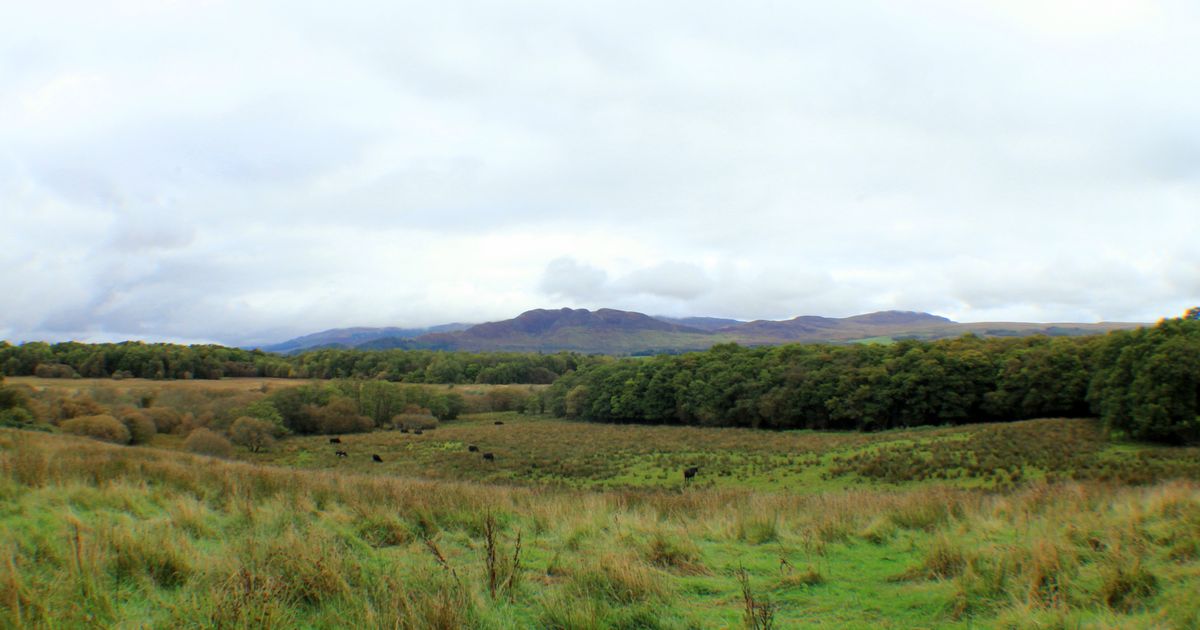 16 Best Hotels in Alexandria, Scotland. Hotels from S$ 85/night - KAYAK