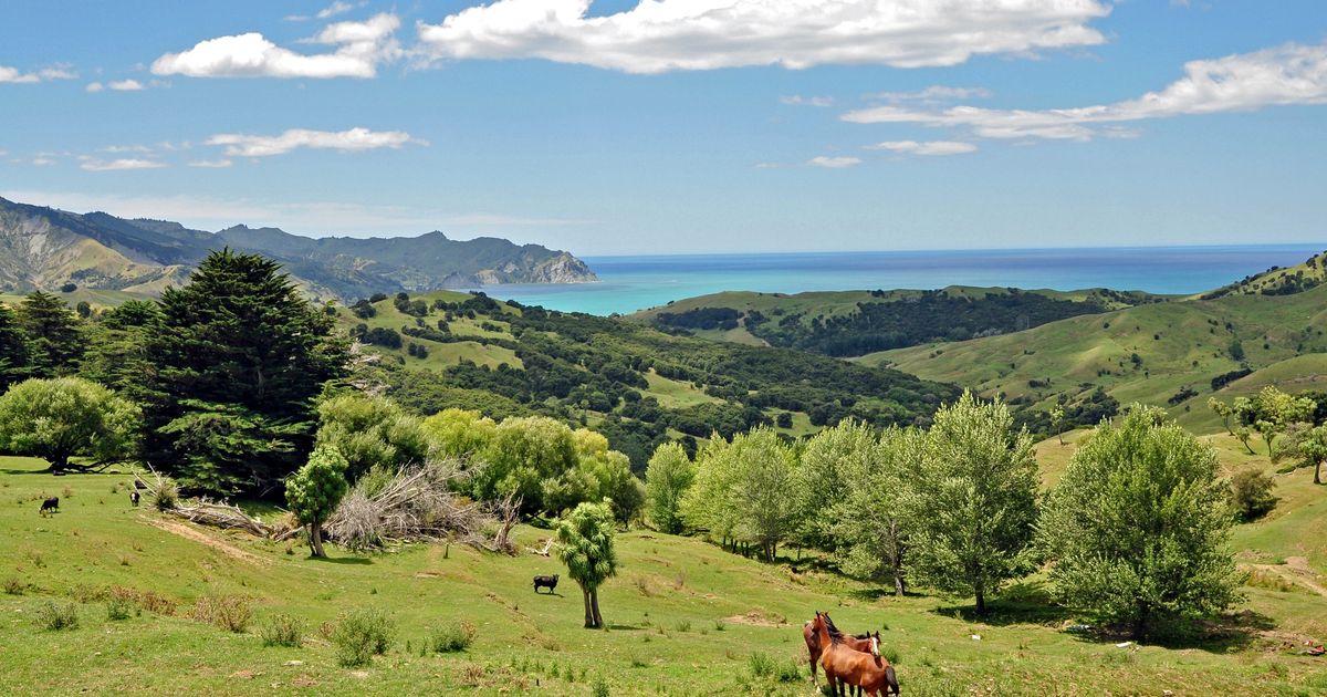 6 Best Hotels in Tokomaru Bay - KAYAK