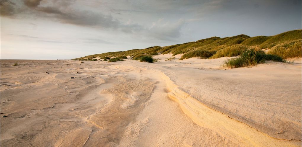 Reise-Guide für Saltum | Tourismus in Saltum – KAYAK