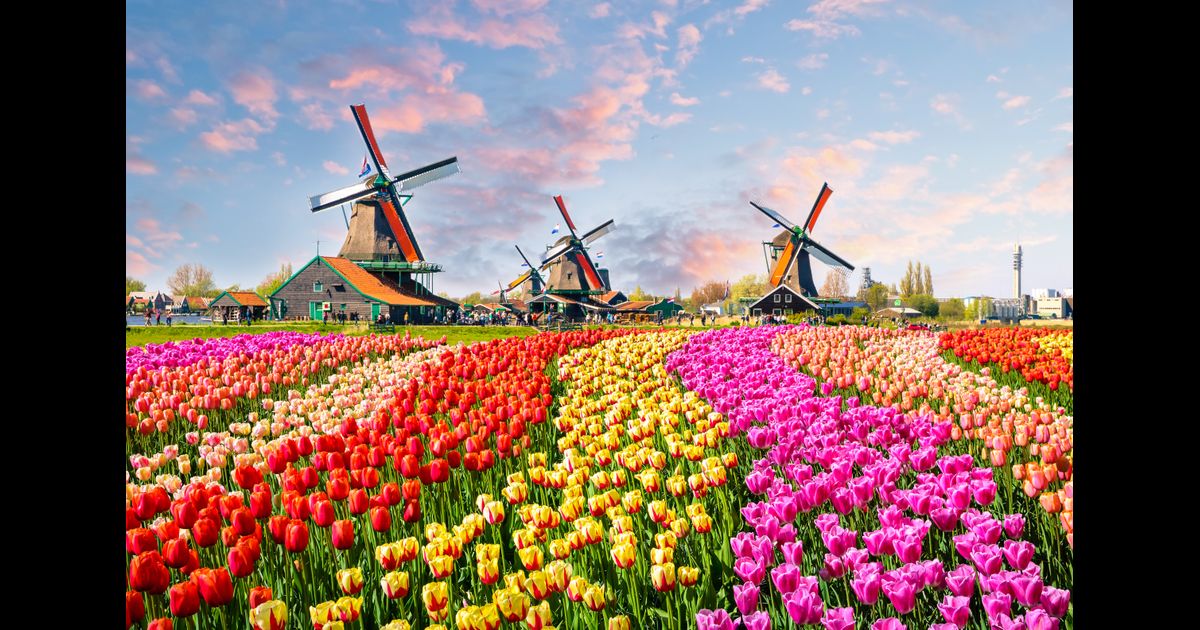Holanda Septentrional Hoteles: Compara hoteles en Holanda Septentrional ...