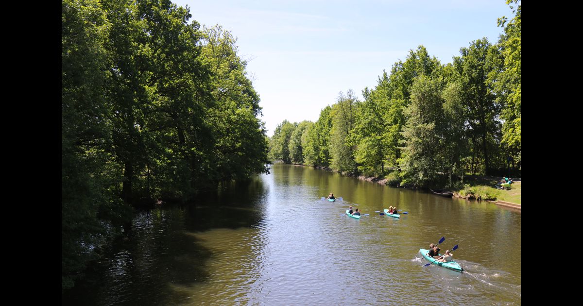 Las mejores propiedades vacacionales de Bosque del Spree - KAYAK
