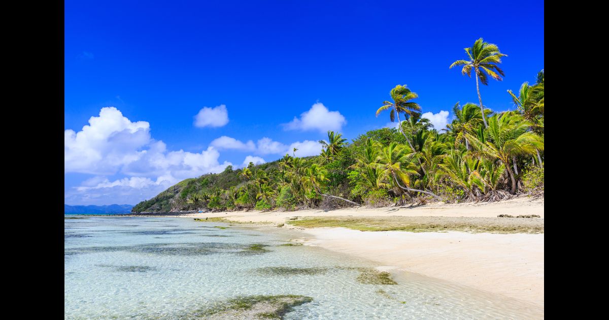 $1,173 Cheap Flights from Seattle to Suva in 2024 | momondo