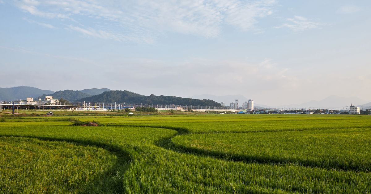 Hotéis em Jeongeup - Pesquise no KAYAK
