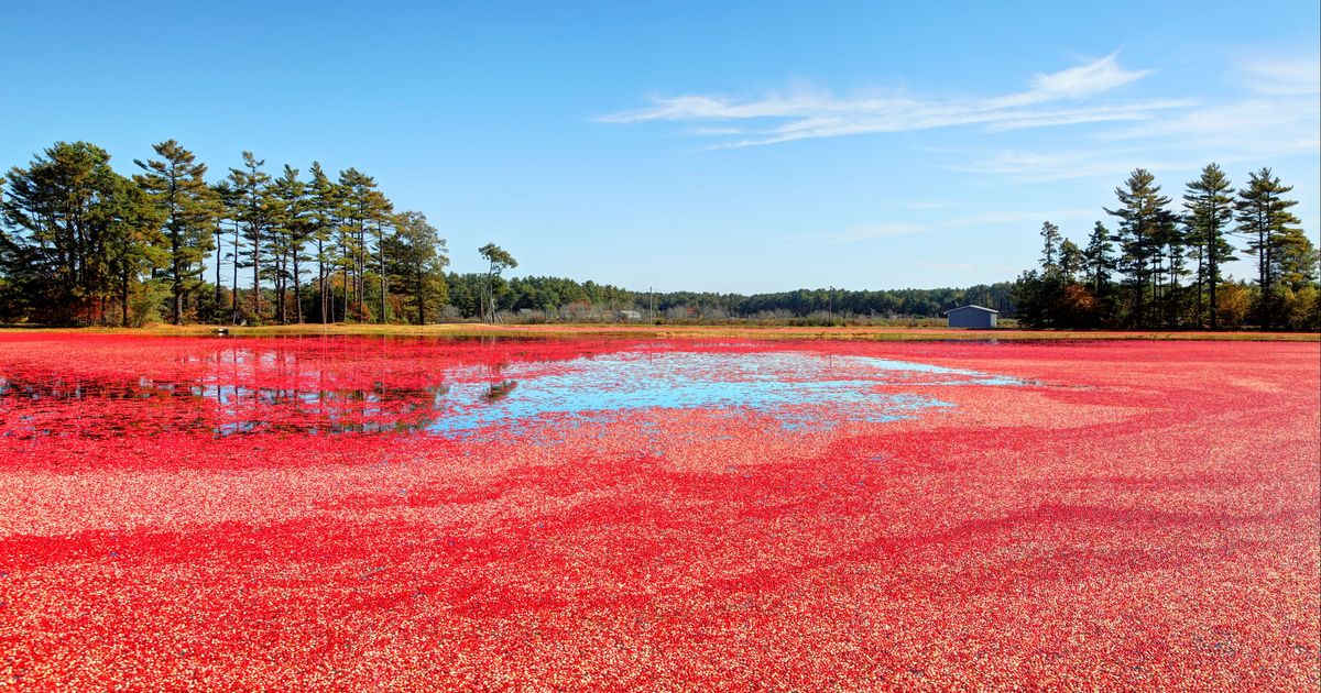 16 Best Hotels in Kingston, Massachusetts. Hotels from $110/night - KAYAK