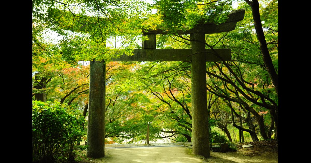 9 084 kr Billiga flyg till Fukuoka prefektur under 2025/26 | momondo