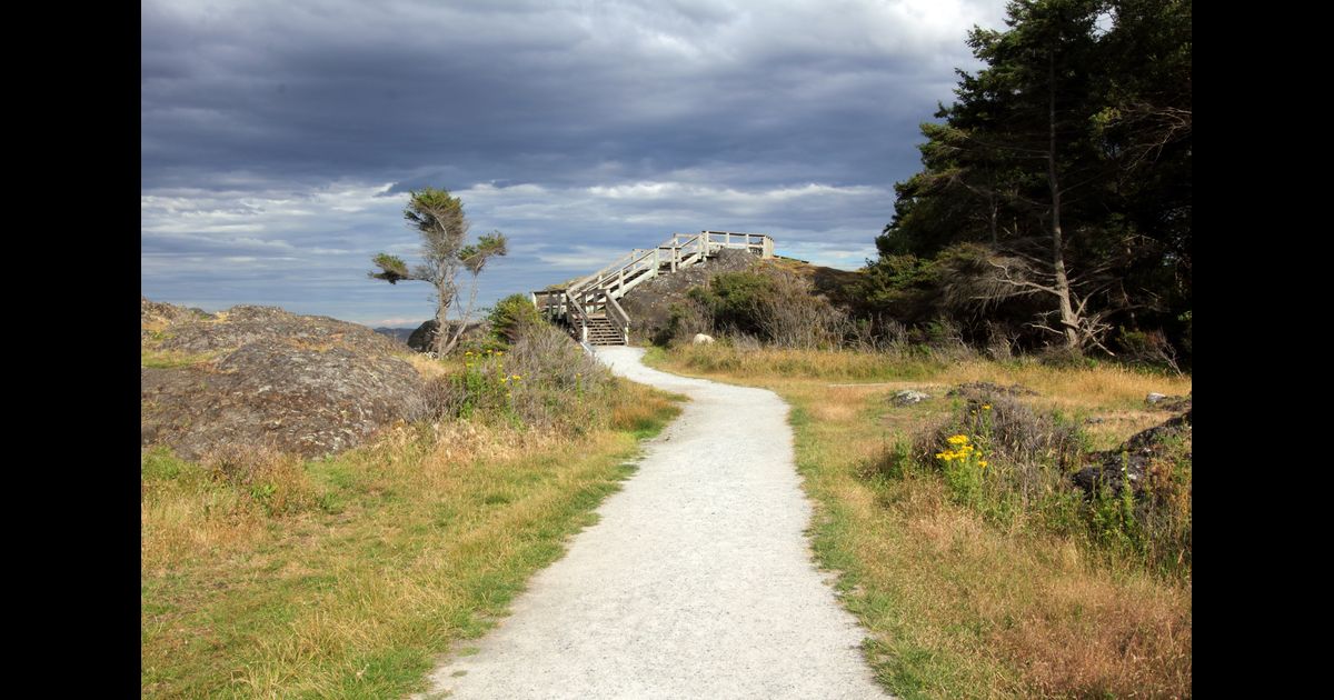 Nanaimo Arpt (YCD) - Flight Status, Maps & more - KAYAK