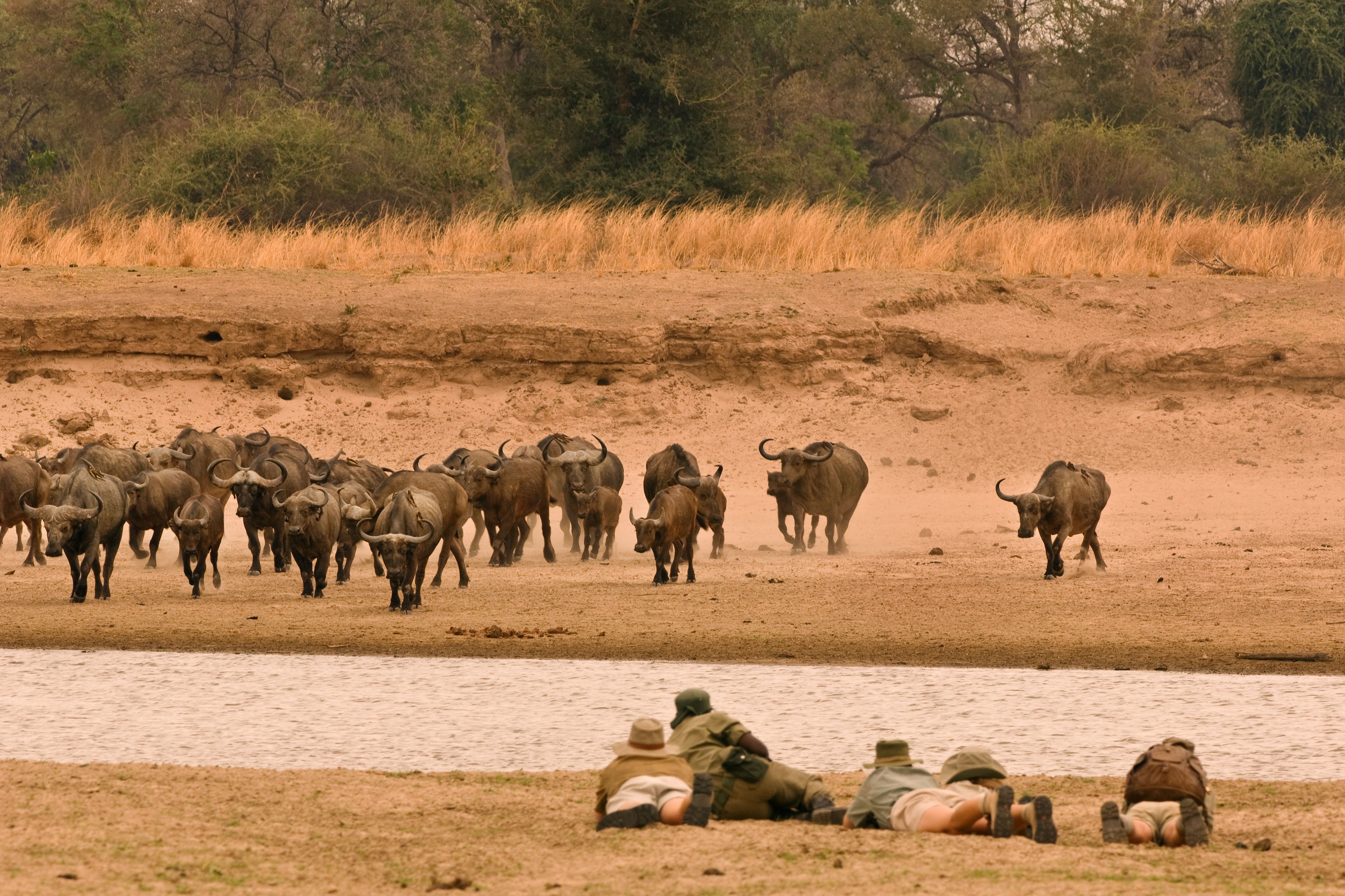 Luangwa Travel Guide | Luangwa Tourism - KAYAK
