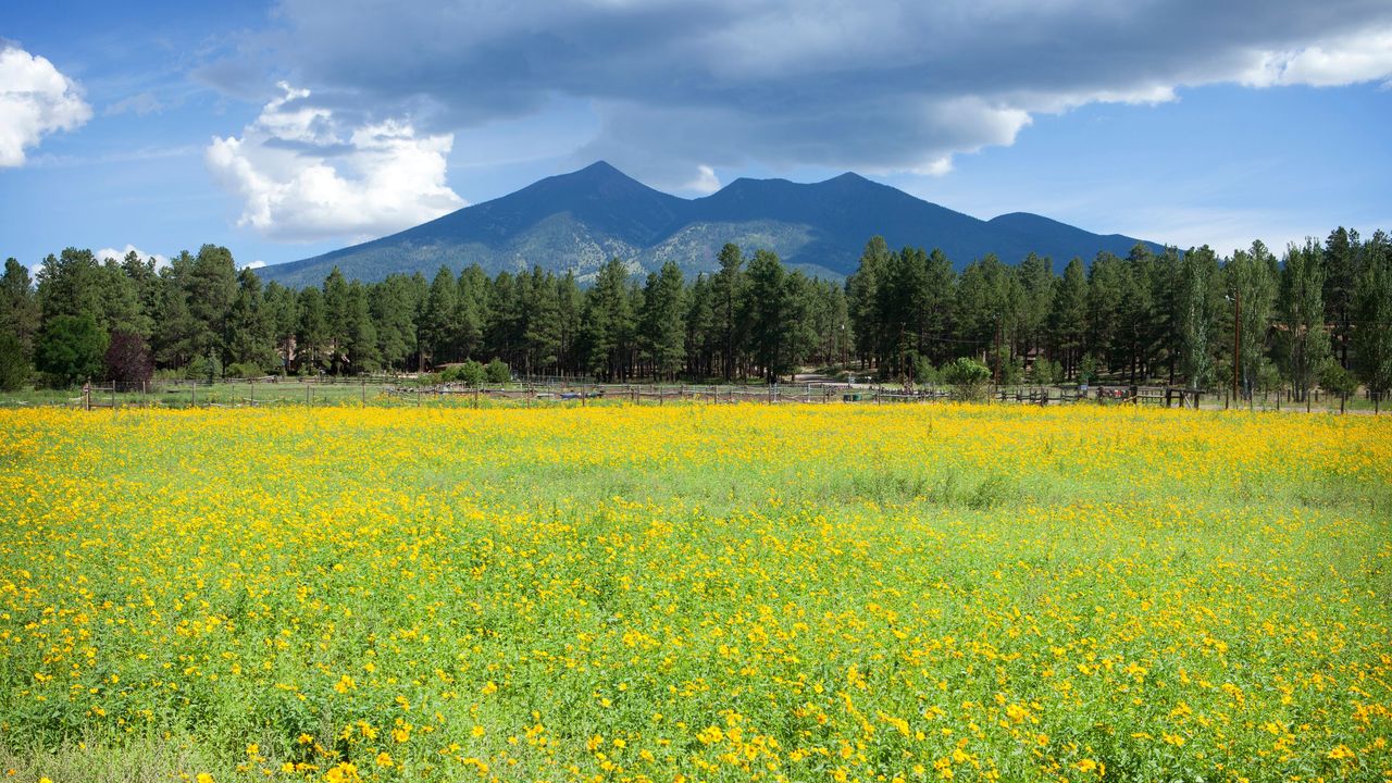 Car Rentals In Flagstaff Search For Rental Cars On KAYAK car-rentals-in-flagstaff-search-for-rental-cars-on-kayak