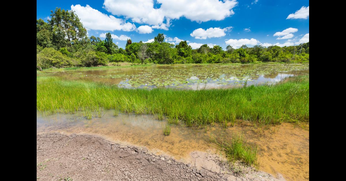 Nairobi Hotels: Compare Hotels in Nairobi from $20/night on KAYAK