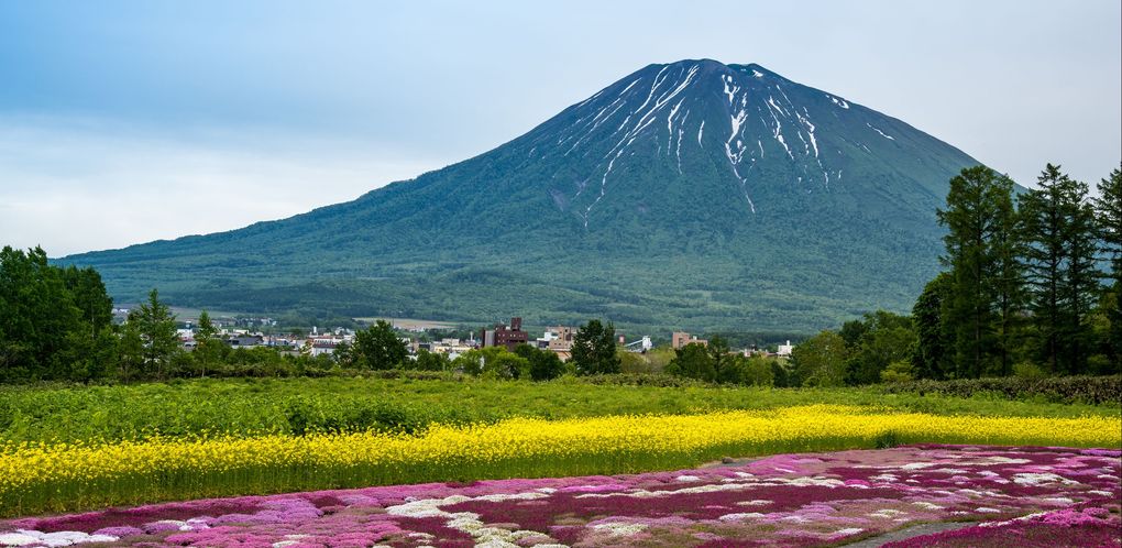 Kutchan Travel Guide | Kutchan Tourism - KAYAK