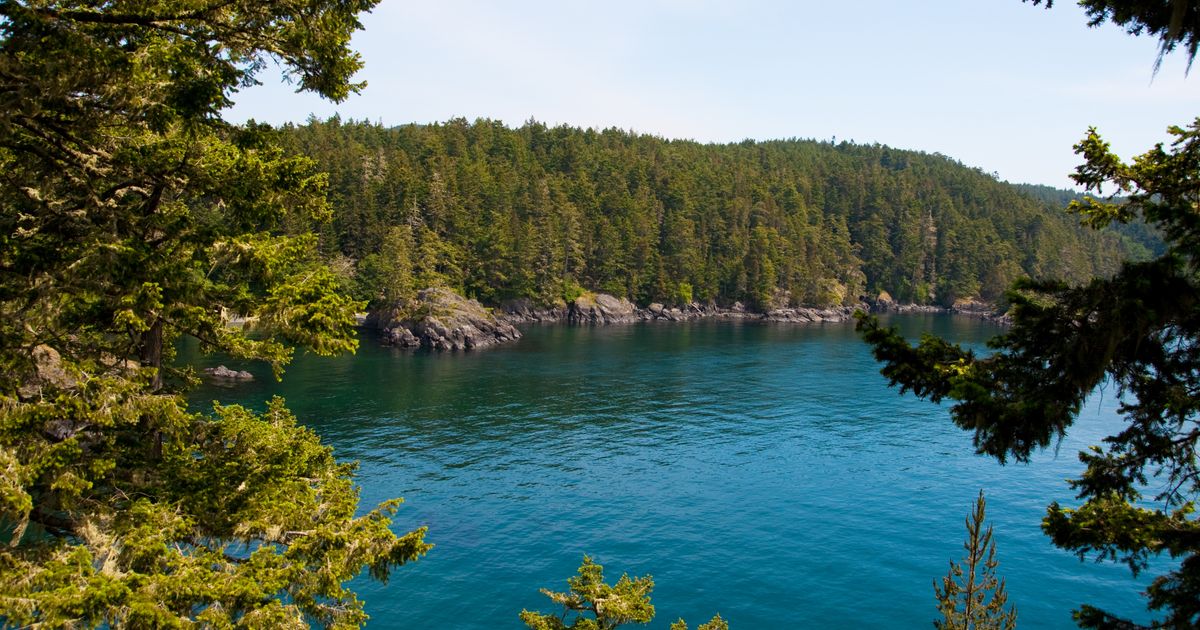 10 Best Hotels in Sooke. Hotel Deals from £65/night - KAYAK