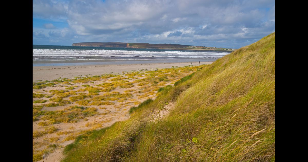 Thurso Reseguide – Upplev Thurso | momondo