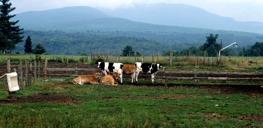 Jay Travel Guide | Jay Tourism - KAYAK