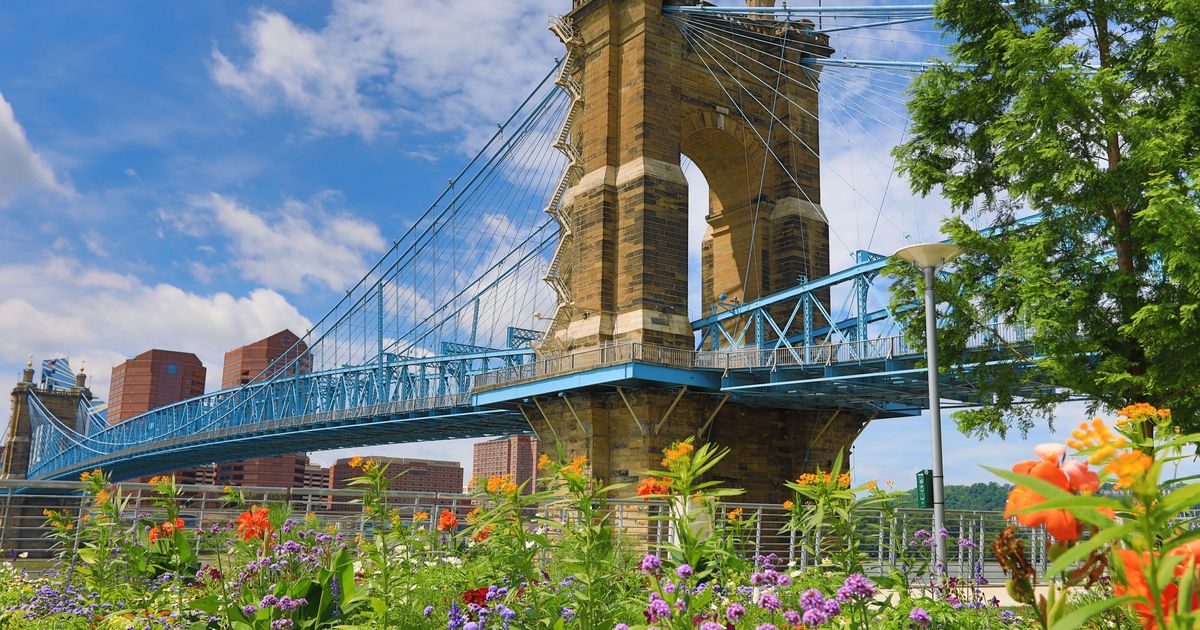 Hoteles baratos en Covington. Alojamiento a partir de 84 €/noche - KAYAK