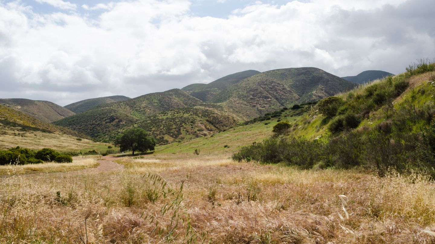 Car Rentals Chula Vista