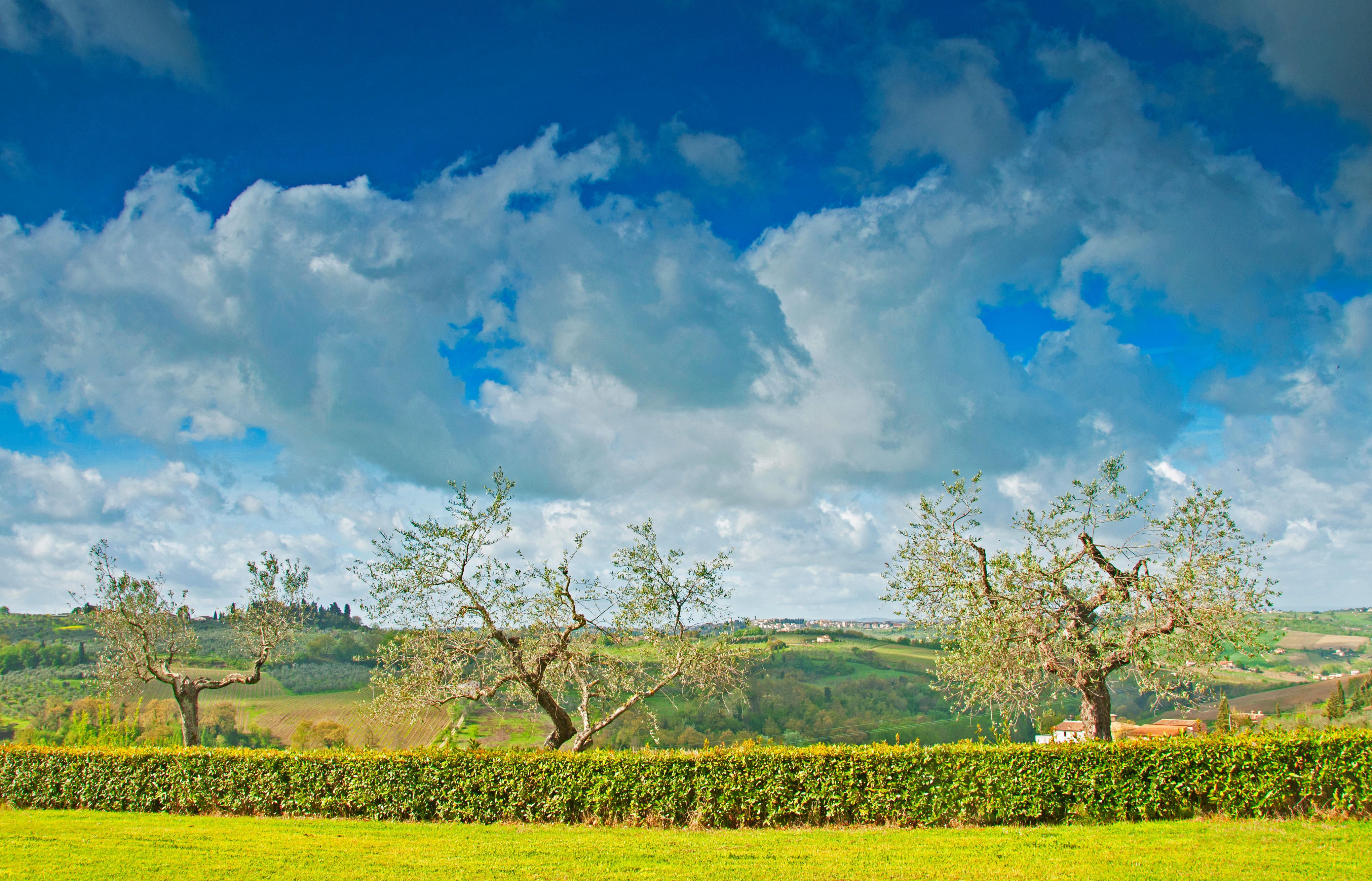 Montagnana Travel Guide | Montagnana Tourism - KAYAK