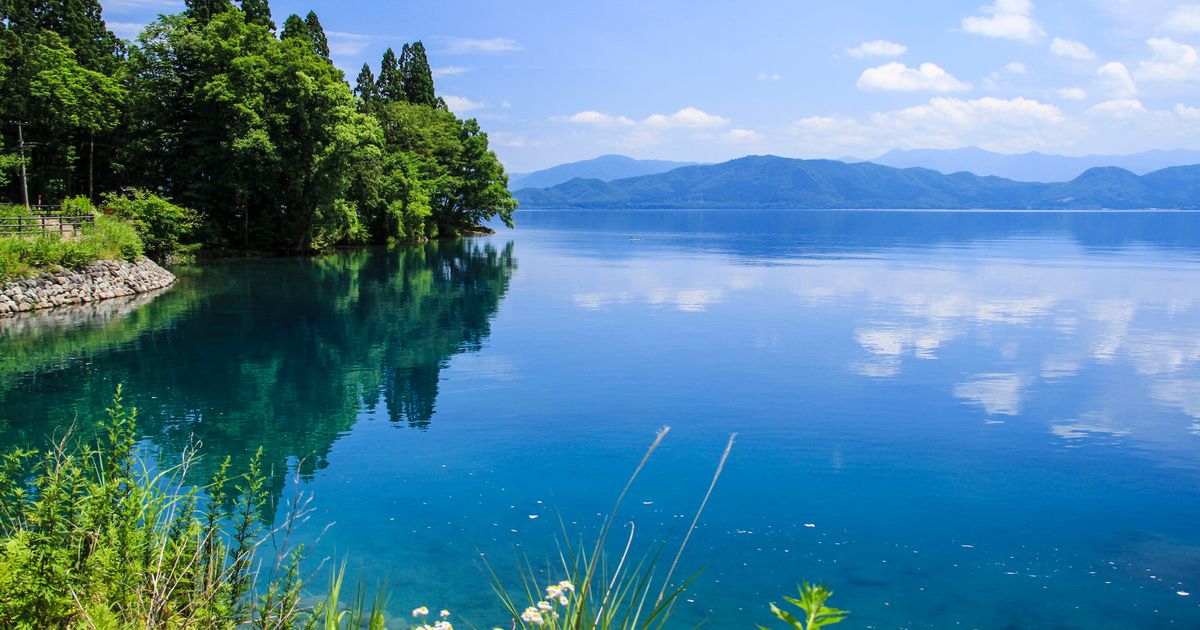 16 Best Hotels in Semboku. Hotels from $46/night - KAYAK