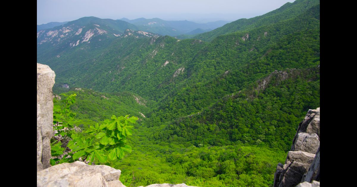 Gyeryong Hotels: 13 Cheap Gyeryong Hotel Deals, South Korea