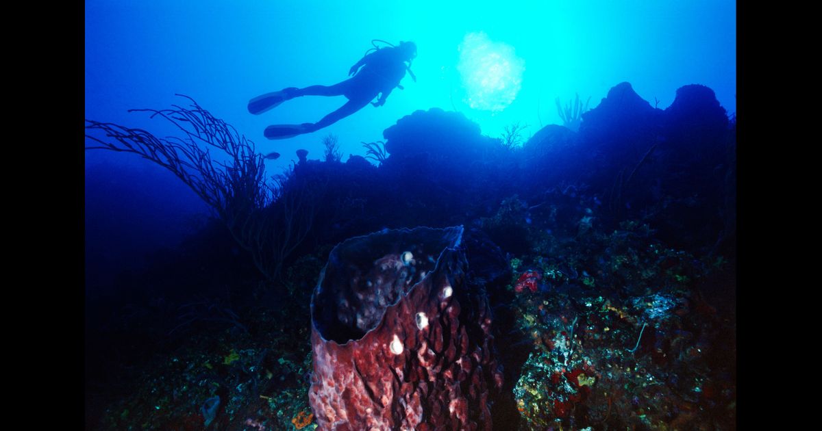 Find Cheap Flights to Bimini in 2025/26 | momondo