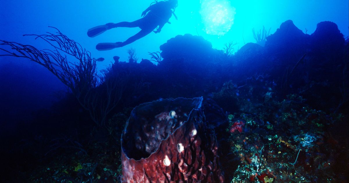 $70 CHEAP FLIGHTS from Fort Lauderdale to Bimini | KAYAK