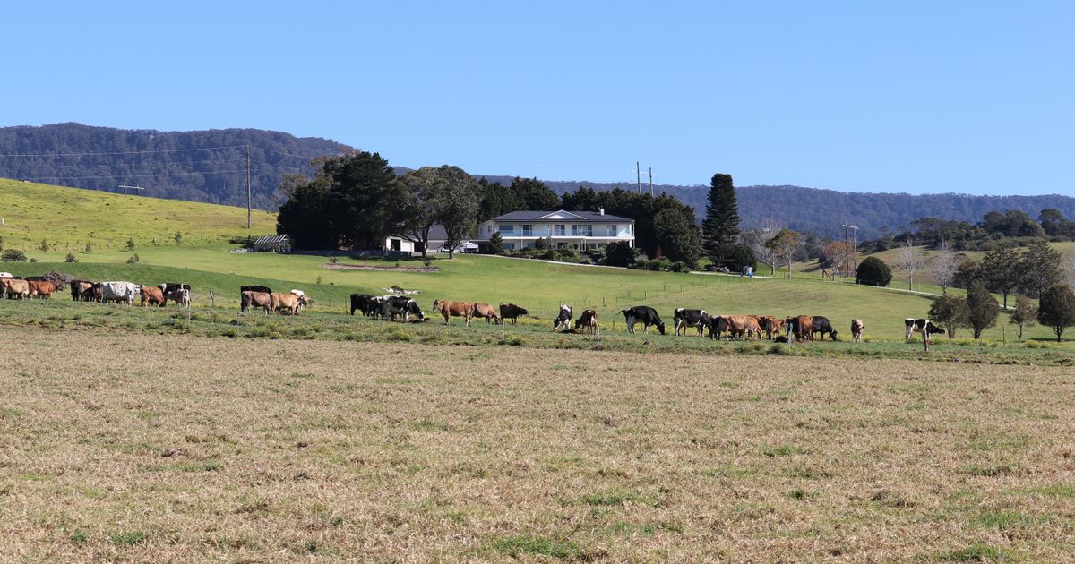 14 Best Hotels in Jamberoo. Hotels from $548/night - KAYAK
