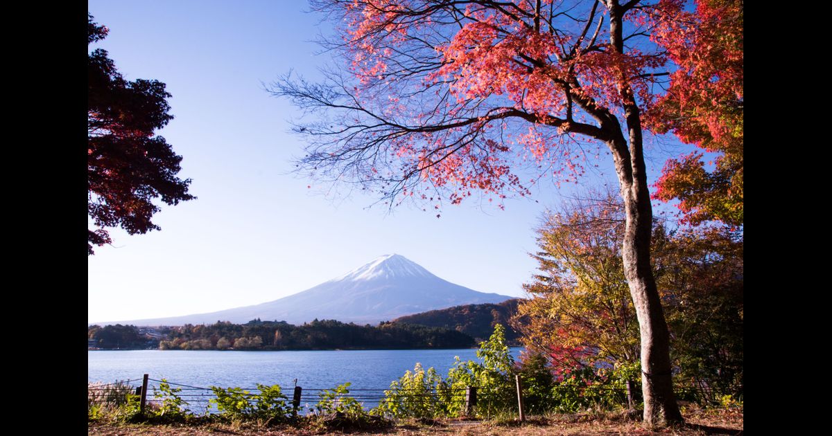 Hotel Fujisan: Confronta hotel a Fujisan a partire da 19 €/a notte su KAYAK