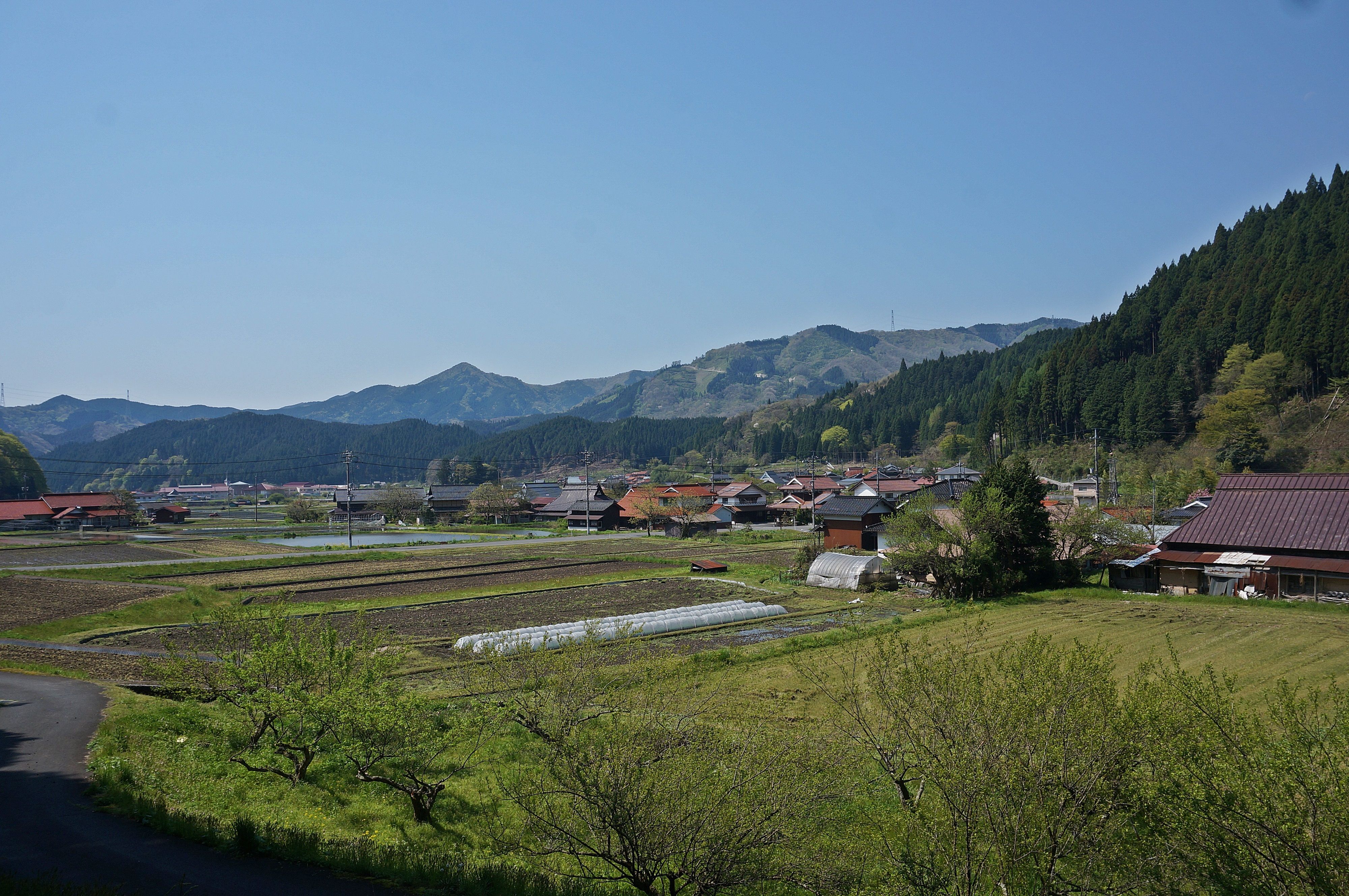 Shinjo Travel Guide | Shinjo Tourism - KAYAK