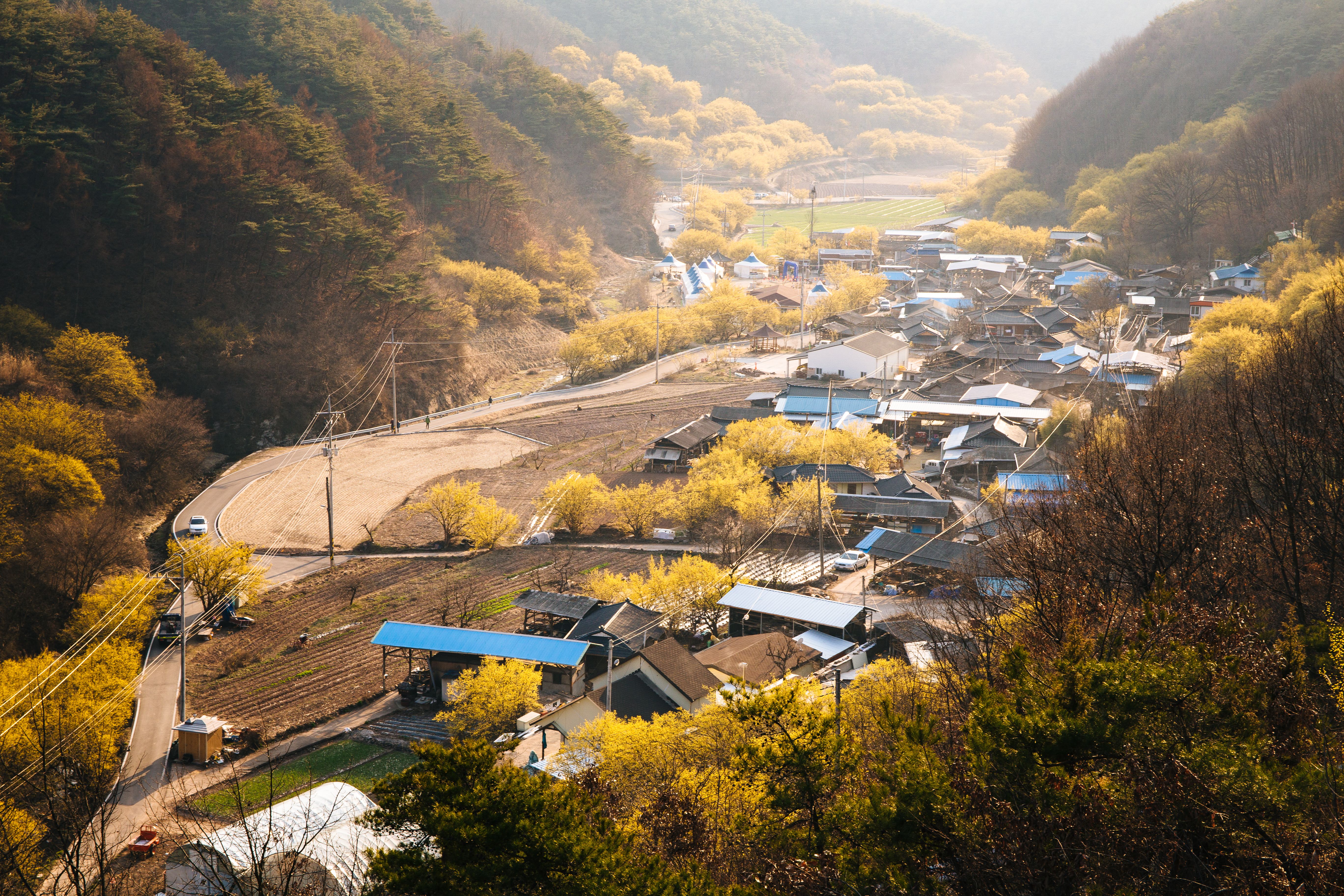 Uiseong-gun Travel Guide | Uiseong-gun Tourism - KAYAK