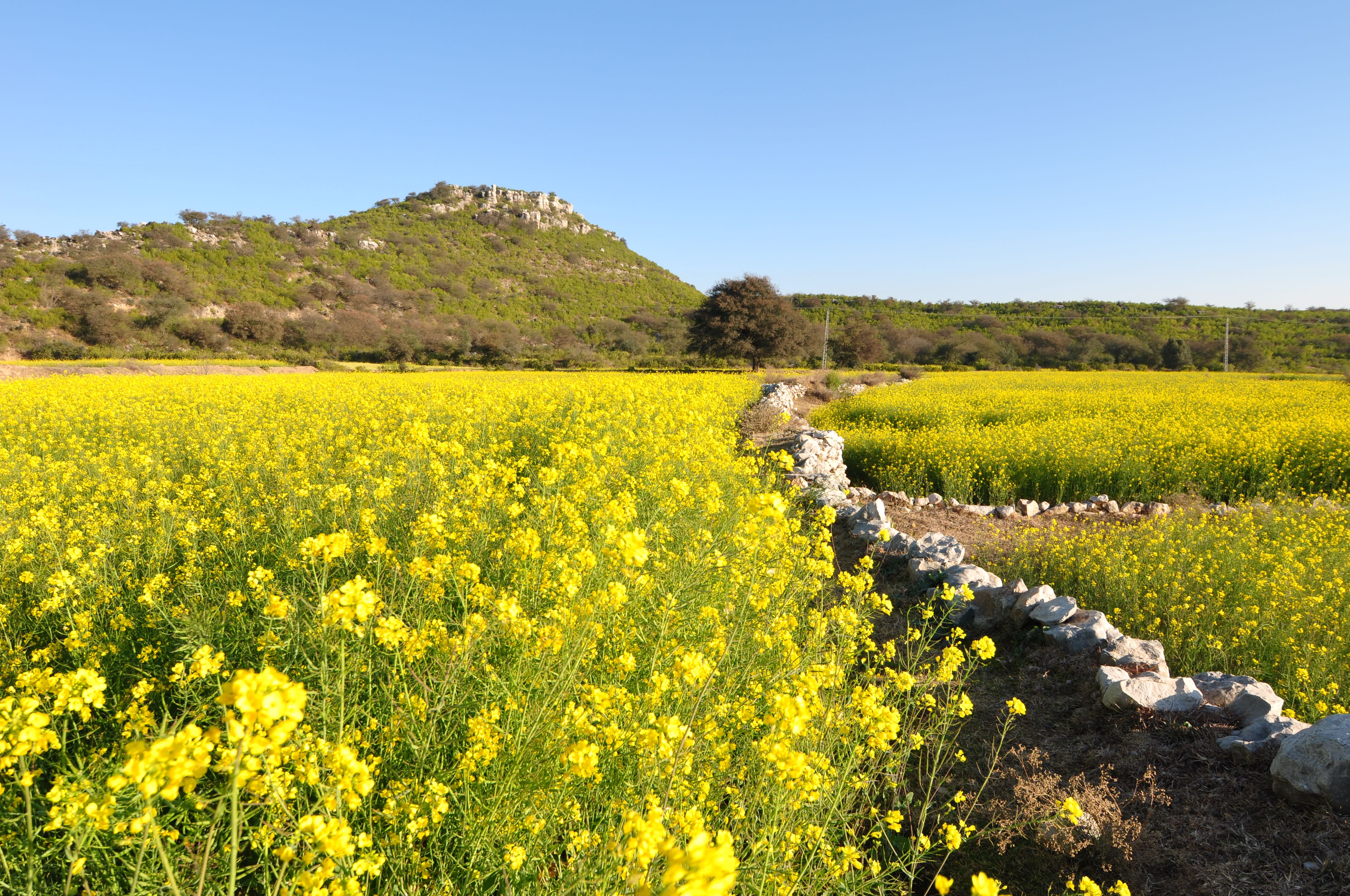 Chakwal Travel Guide | Chakwal Tourism - KAYAK