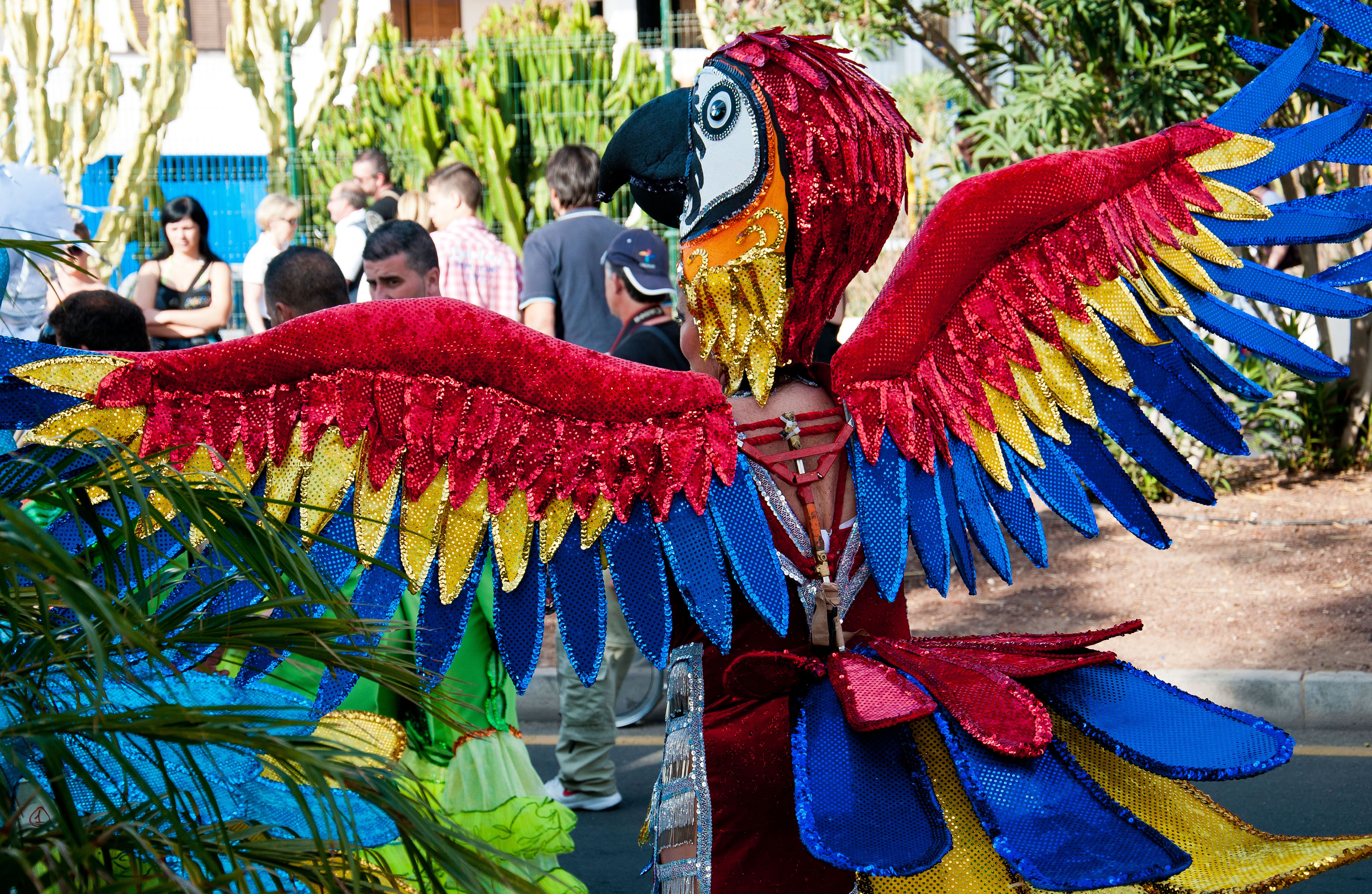 Cheap Flights from Niagara Falls to Santa Cruz de Tenerife Tenerife ...