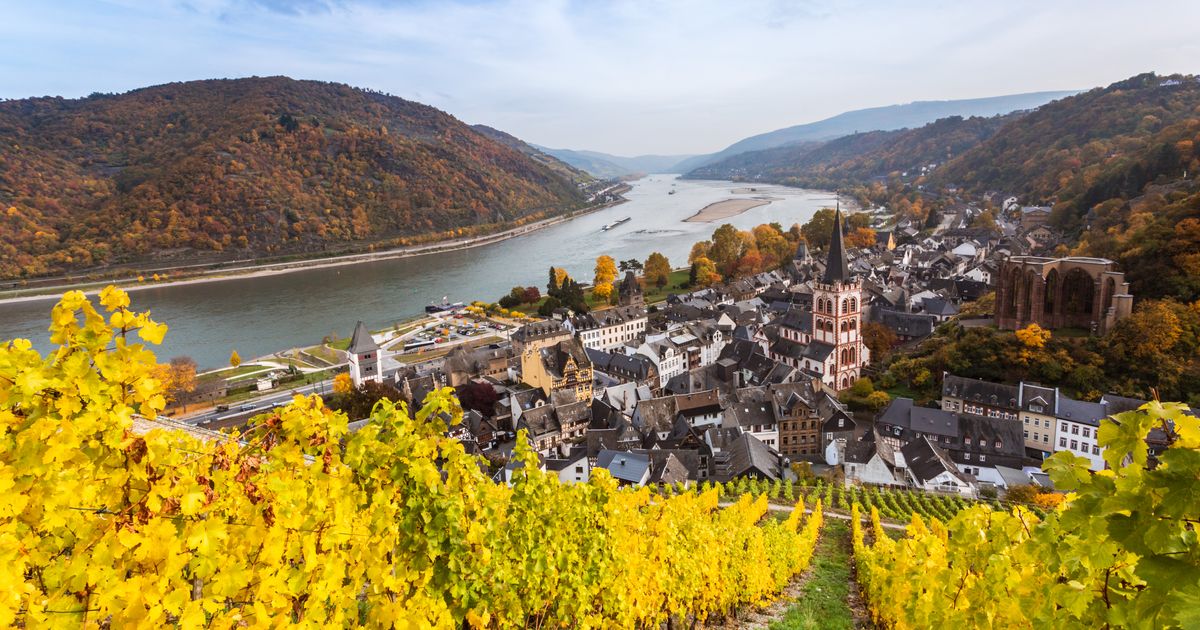 16 Best Hotels in Bacharach. Hotels from $84/night - KAYAK
